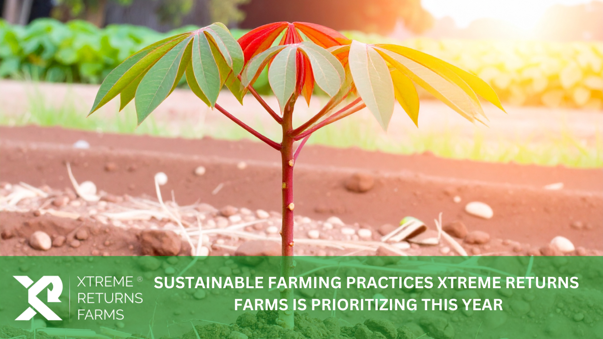 SUSTAINABLE FARMING PRACTICES XTREME RETURNS FARMS IS PRIORITIZING THIS ...